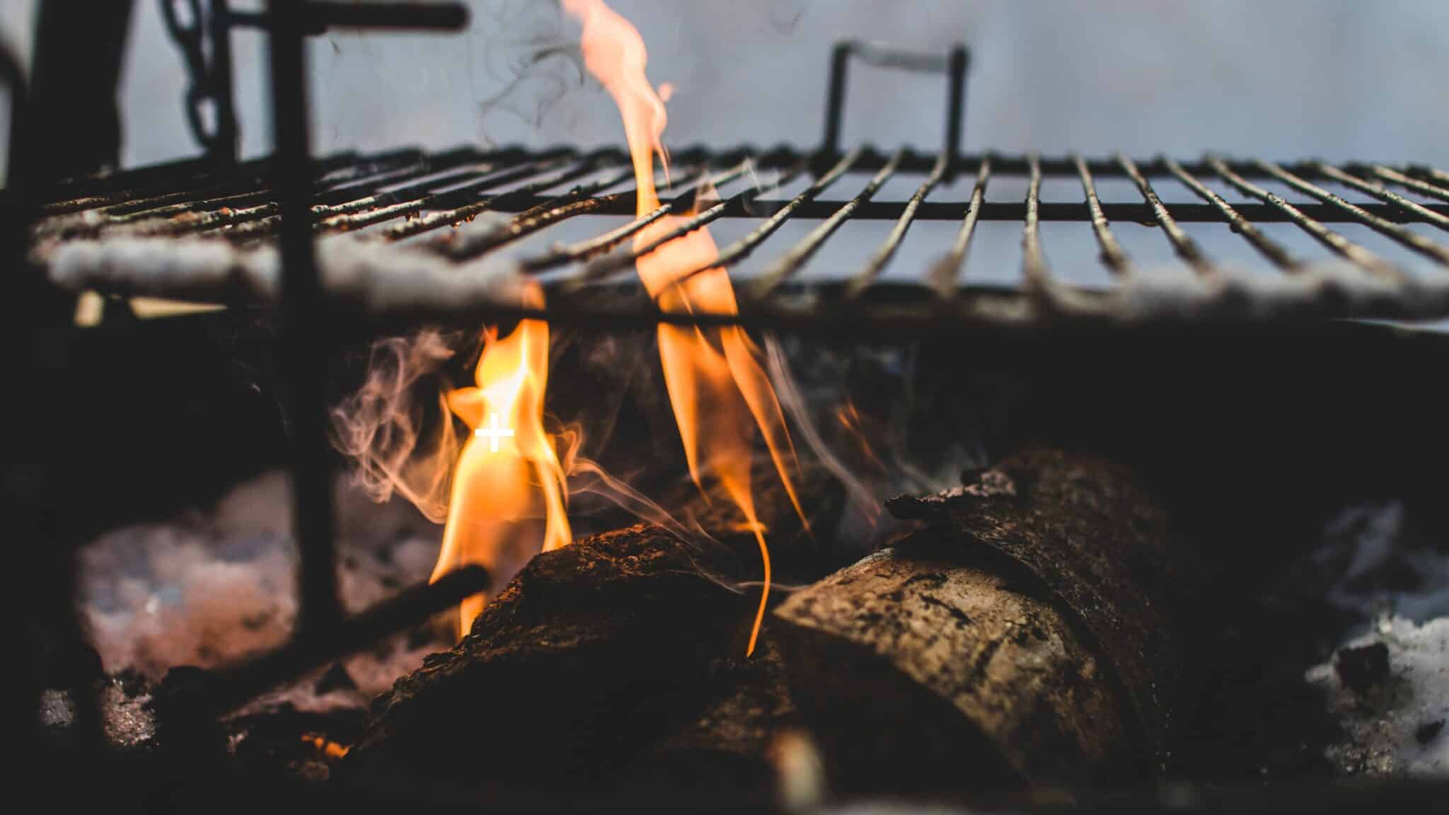 Videos & Techniques - BBQ Warrior